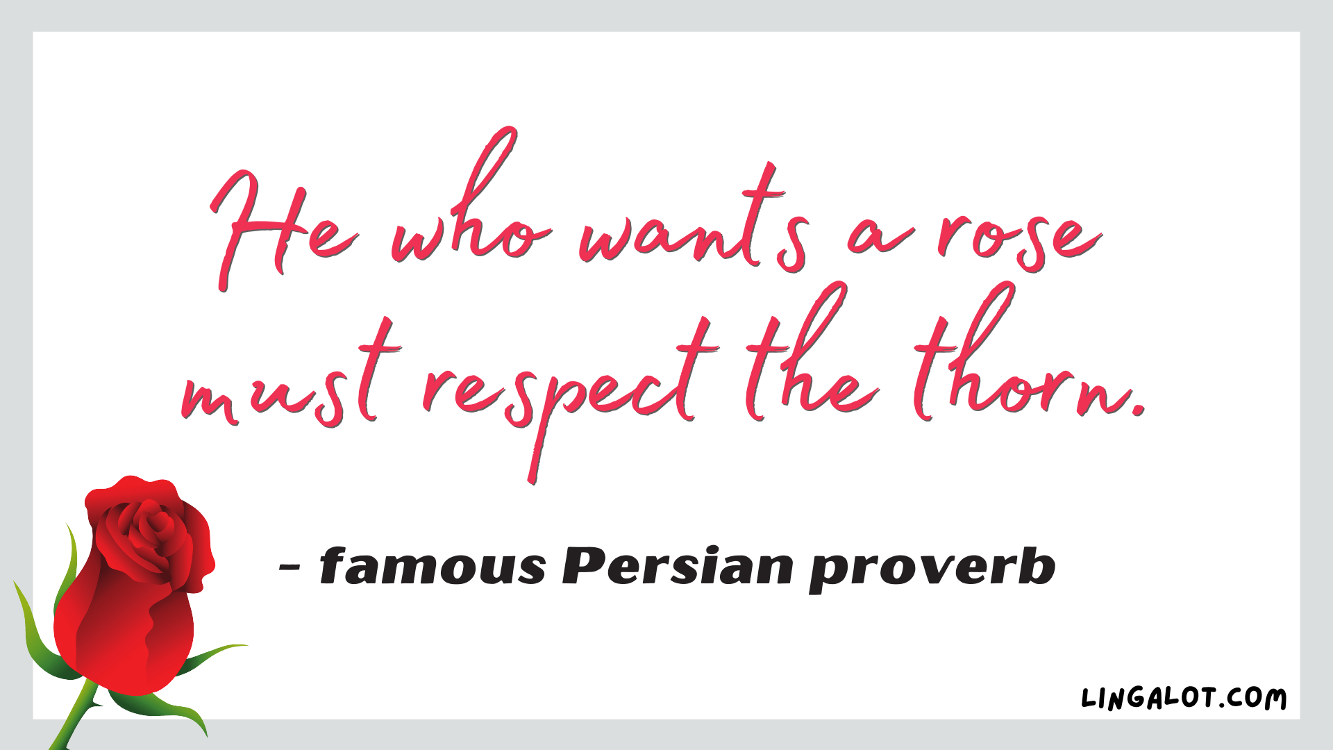 95+ Farsi Quotes, Sayings & Proverbs + Their Meanings - Lingalot