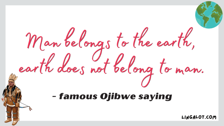 23 Ojibwe Quotes, Sayings & Proverbs Everyone Should Know - Lingalot