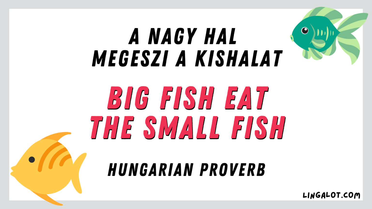 85+ Hungarian Quotes, Sayings & Proverbs + Their Meanings - Lingalot